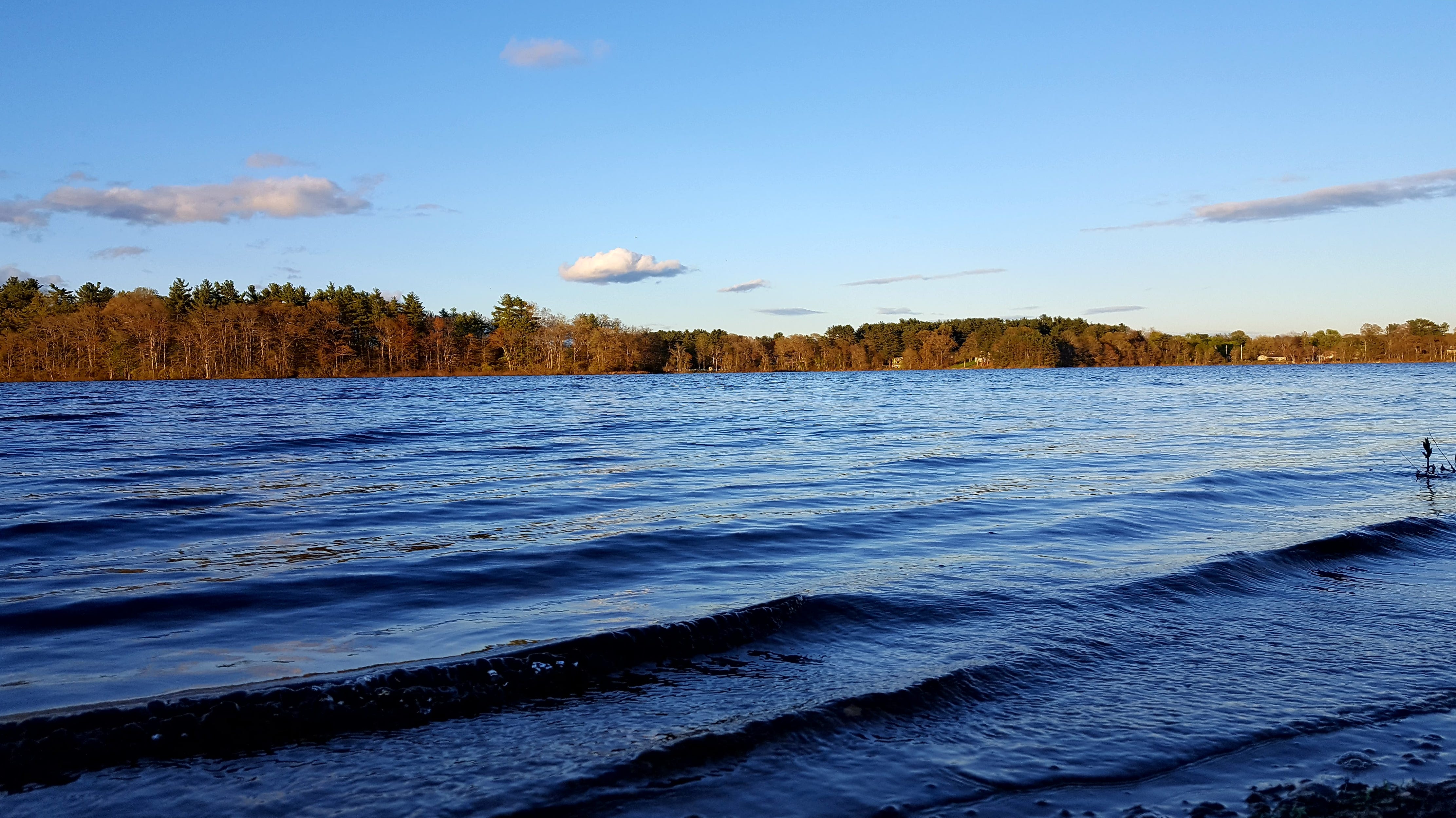 Bridgewater's Lake Nippenicket Threatened By Developer