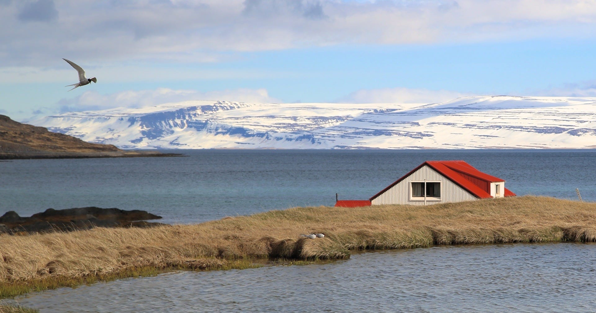 From Geothermal Energy to Flaky Sea Salt: The Innovative Story of Saltverk