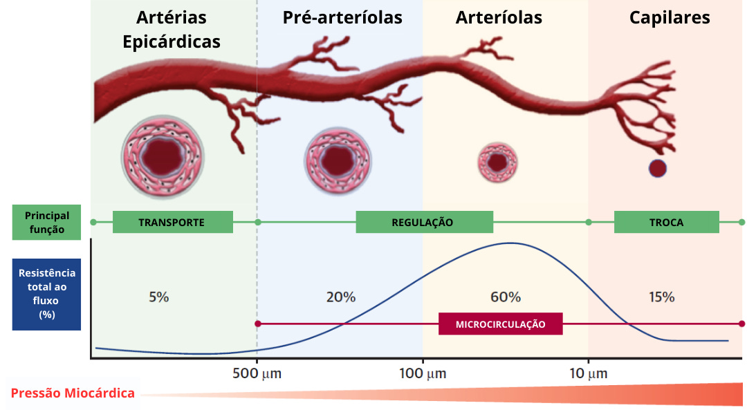 Isquemia Microvascular