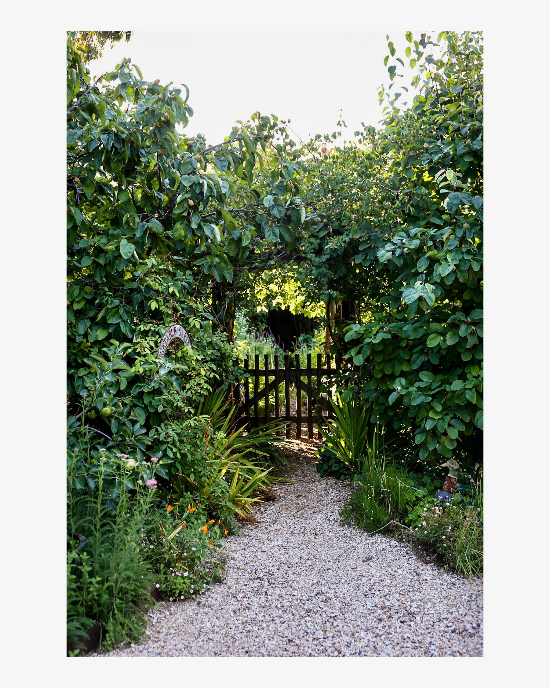 The Garden Gadabout - The Garden at Moorfield