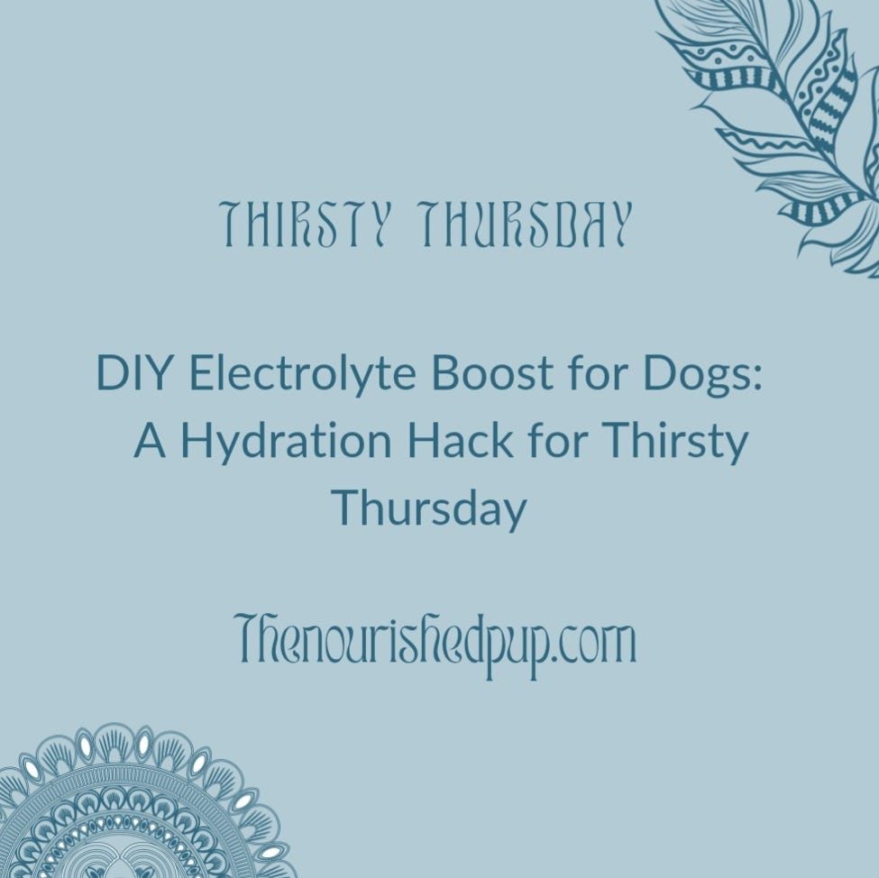DIY Electrolyte Boost for Dogs: A Hydration Hack for Thirsty Thursday