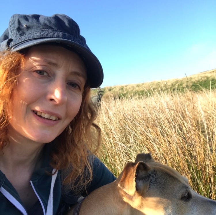 Sarah Wordsworth | Substack