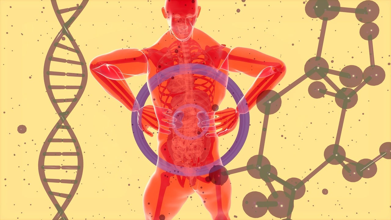 Genetically Modified Pig Kidney and its Connection to the Uranus ...