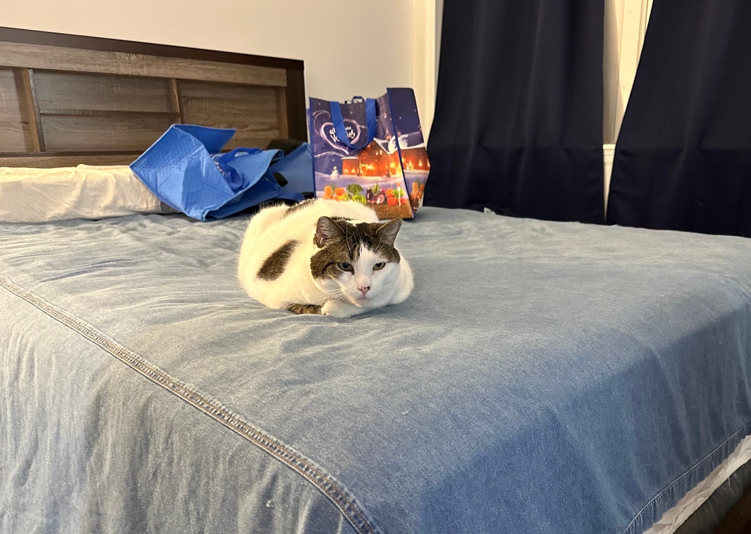 This Is The Meatloaf - by DR Darke - DR’s Substack