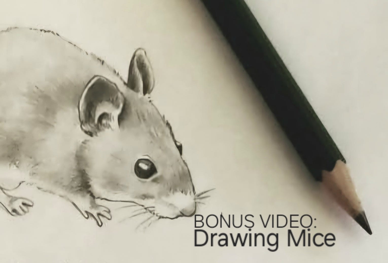 Draw mice! - by Val Webb - Drawing the Natural World