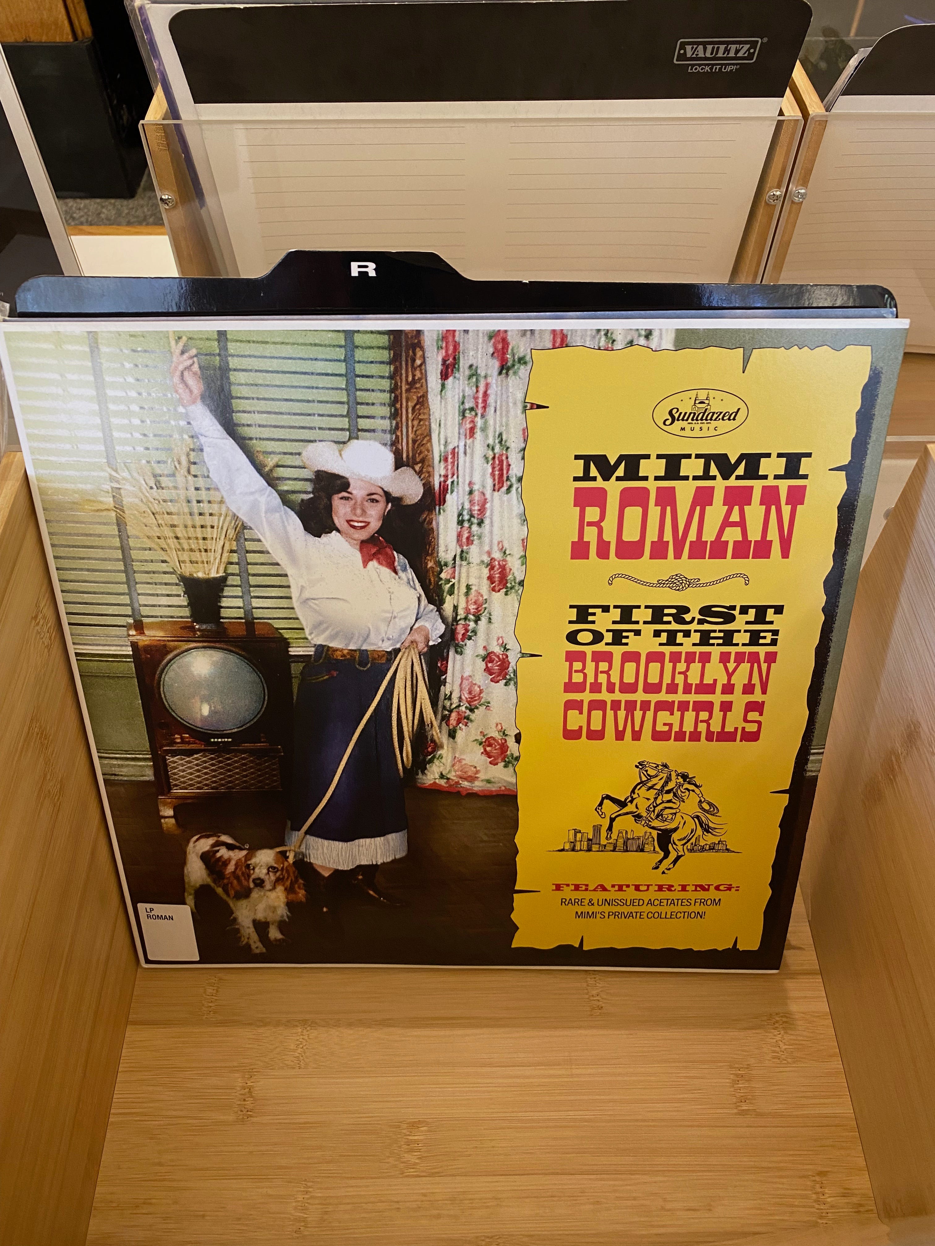 The Future of Vinyl Libraries - by Rachel Cabitt