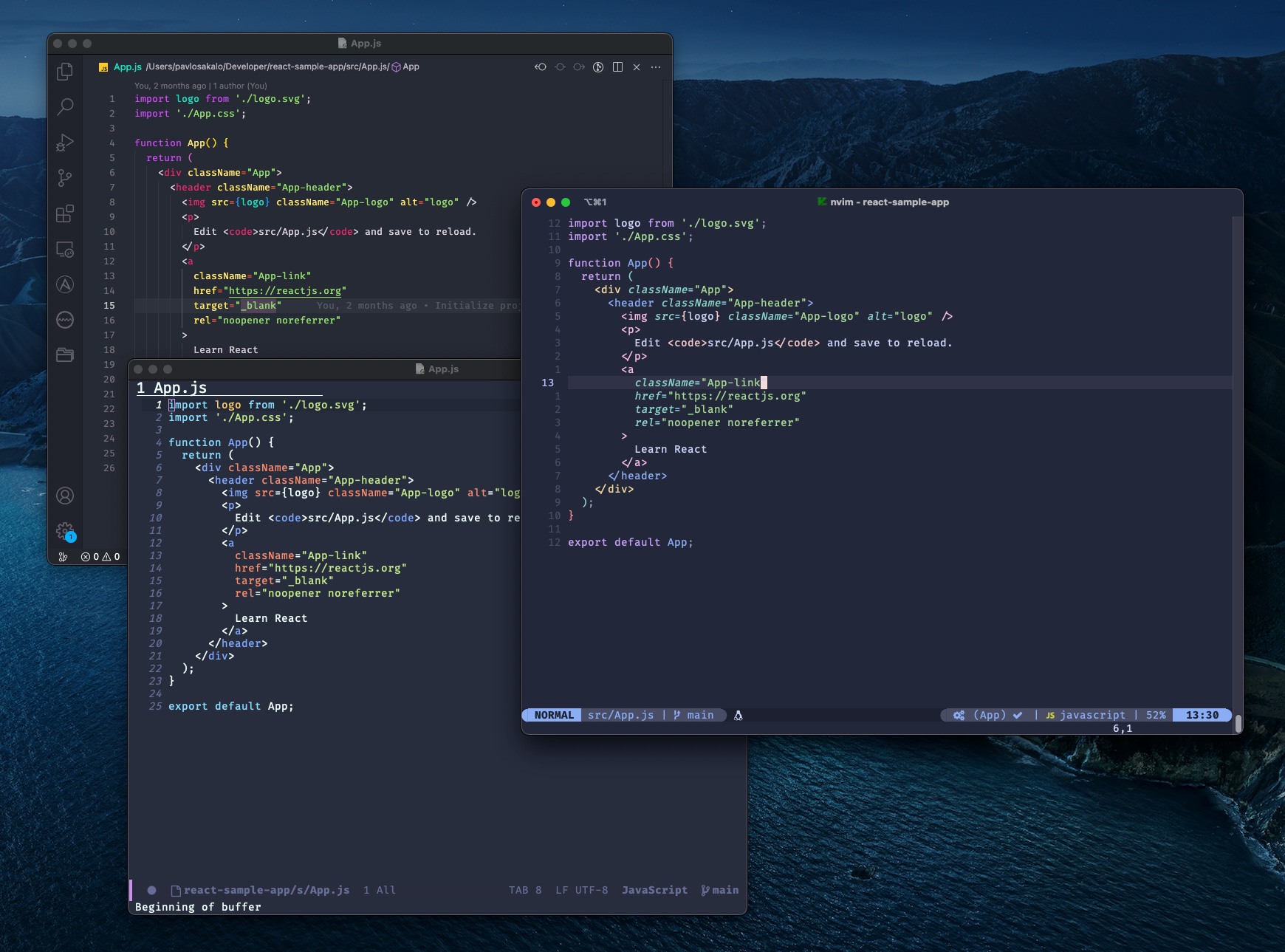 My take on Neovim vs Emacs vs VS Code - by Pavlo Sakalo