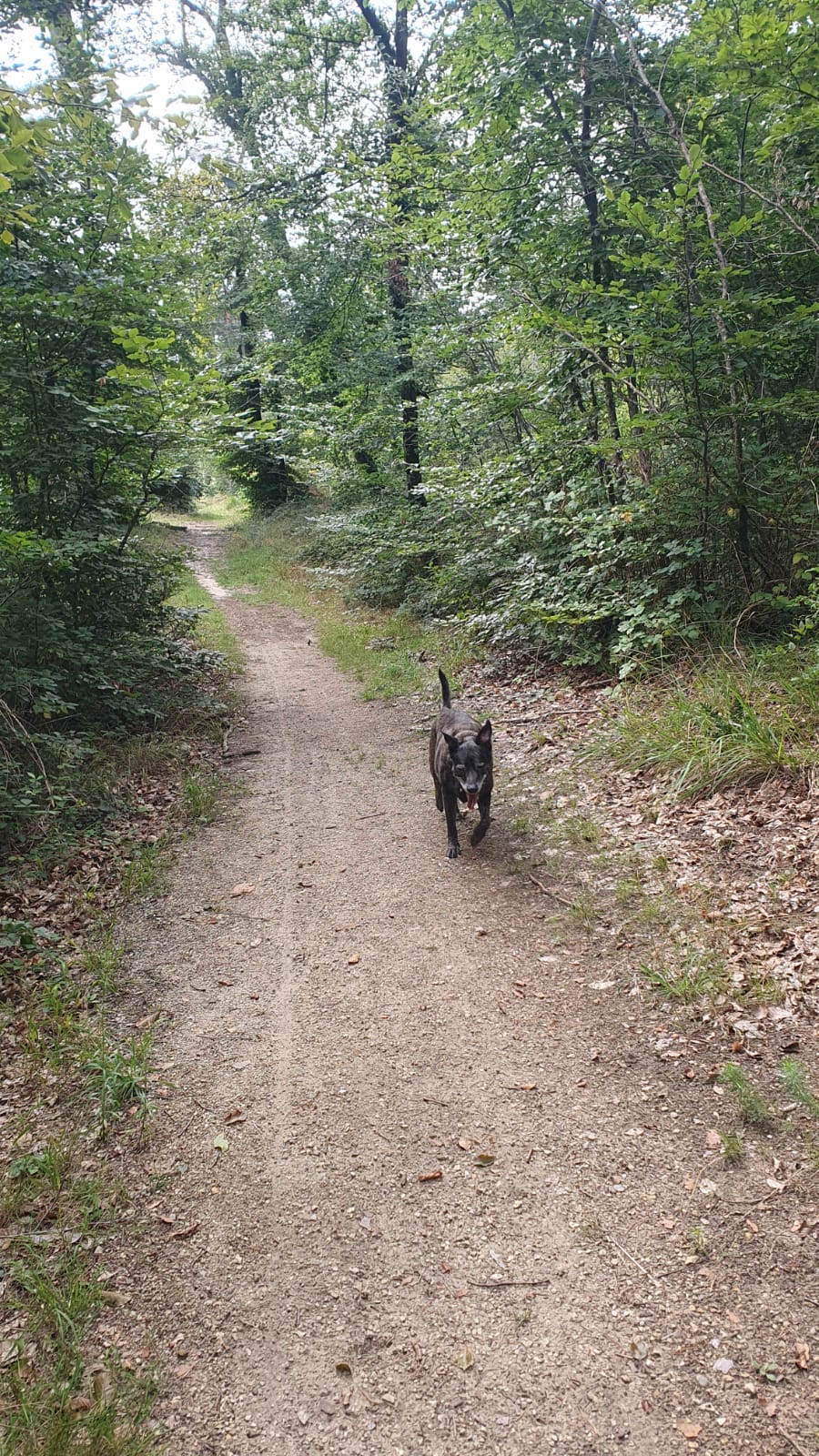 The hopeful season - Victoria’s Substack