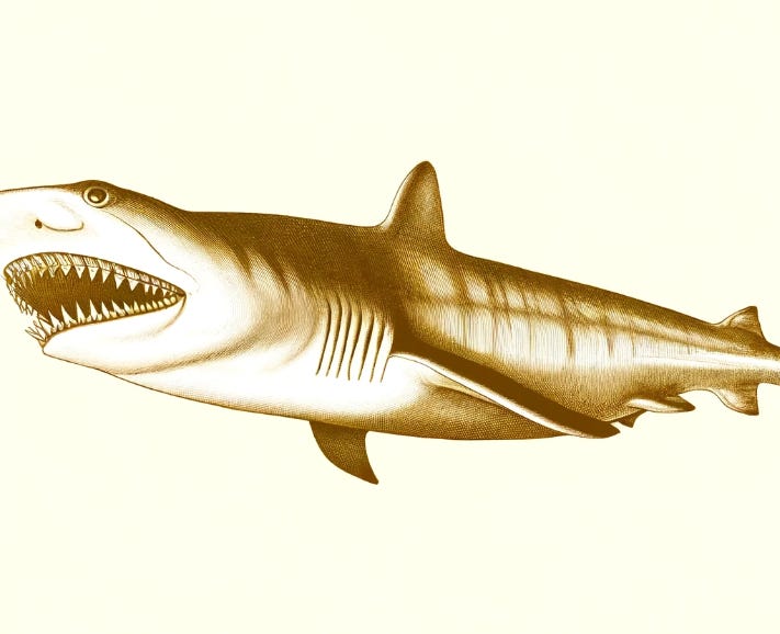 Something is fishy in Denmark - by Greg Nagan