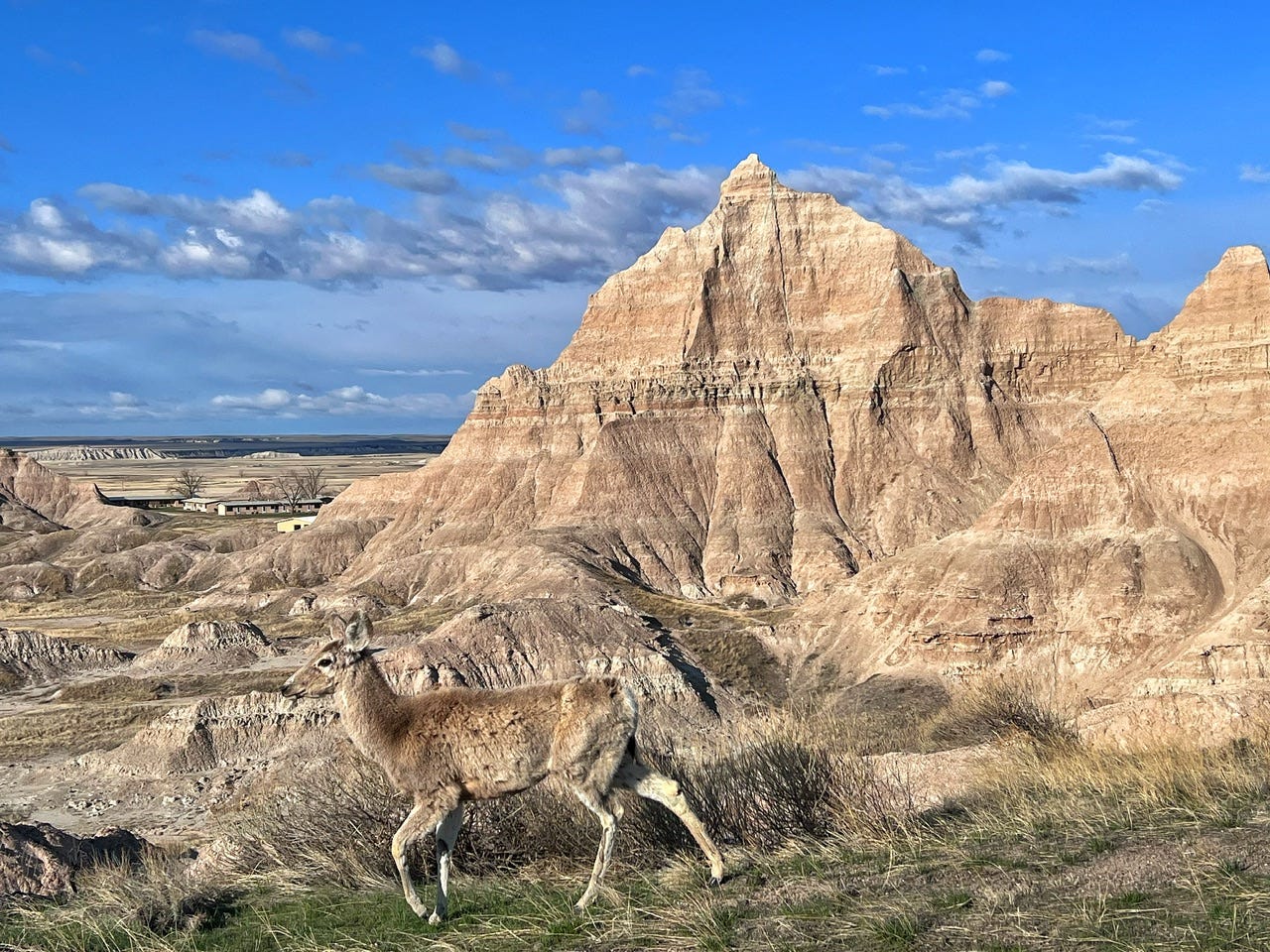 Postcards from Badlands National Park - Tom Ryan, Author