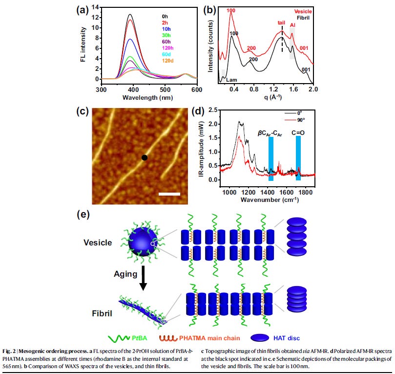 Darkfield Live Blood Microscopy Of A Discoid Mesogen Self Assembly ...