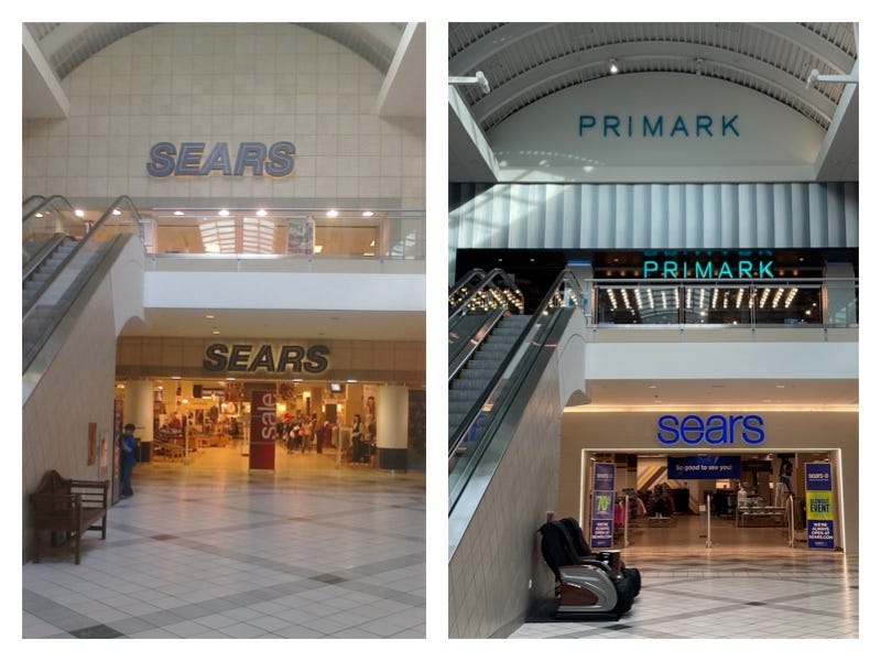 The Last Sears in New England - by Heath Racela