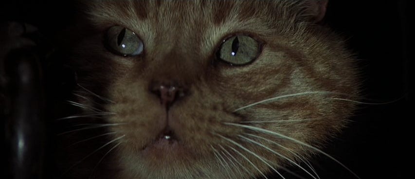 Flashback: Close-ups on non-human faces in Ridley Scott's Alien