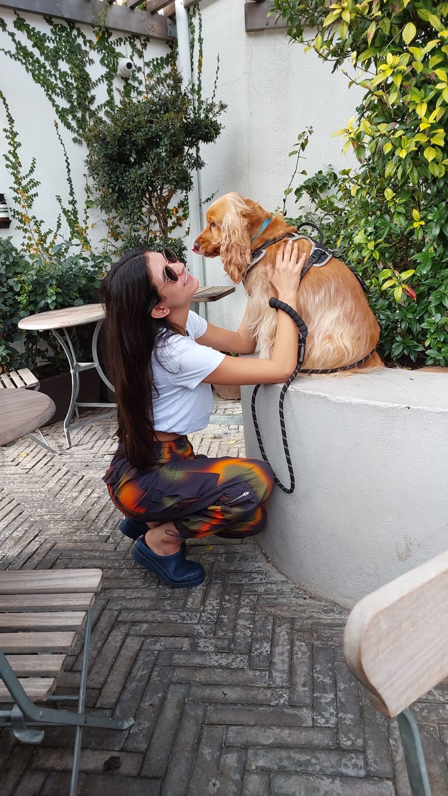 Happy Good Boy Day - by Christy Chilimigras