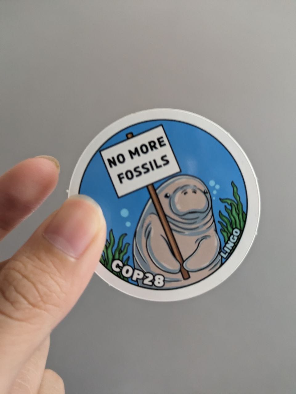 The Weird and Wild | Qiyun (The Weird and Wild) | Substack