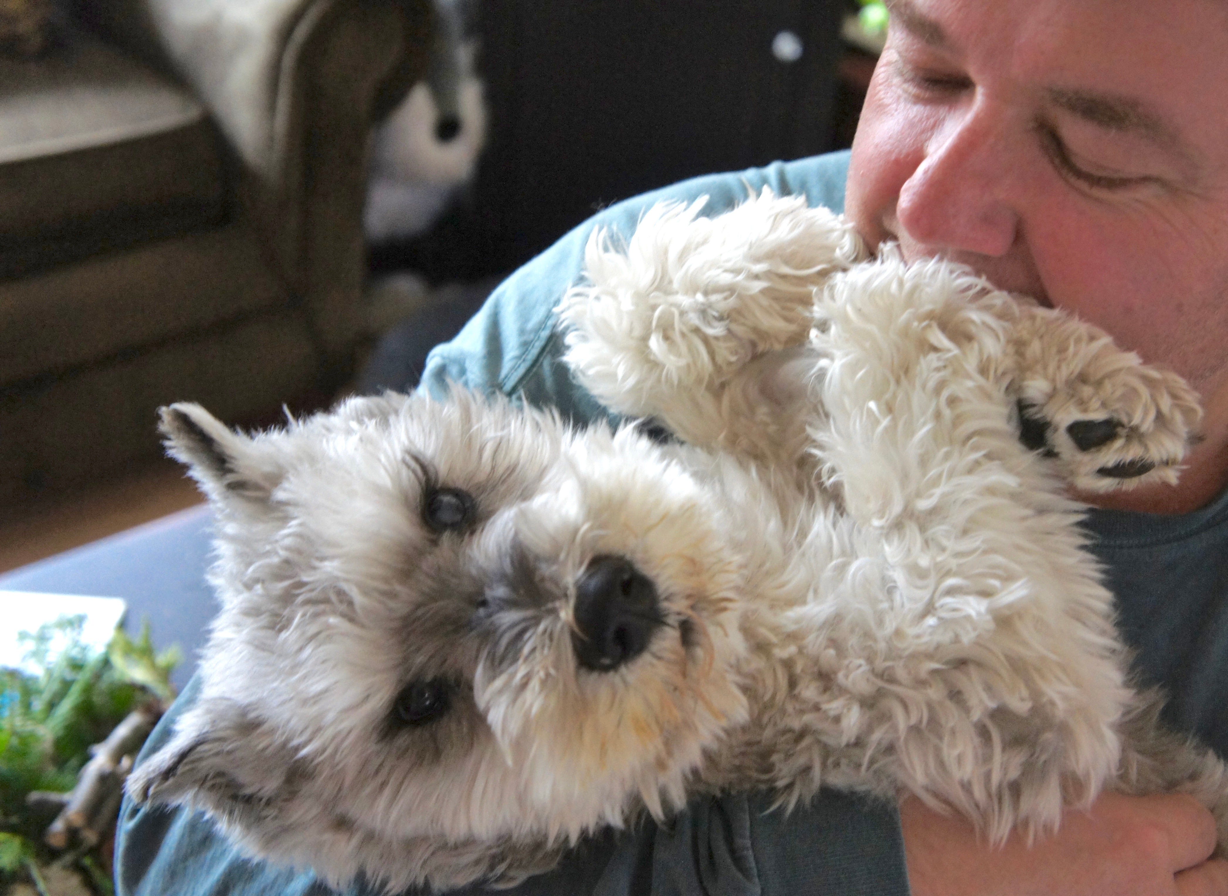 It's Will's Day - Tom Ryan, Author