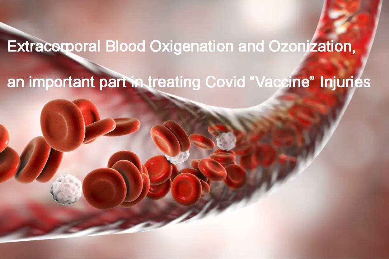 Conversation with Dr. Frank Shallenberger MD, HMD, ABAAM about treating ...