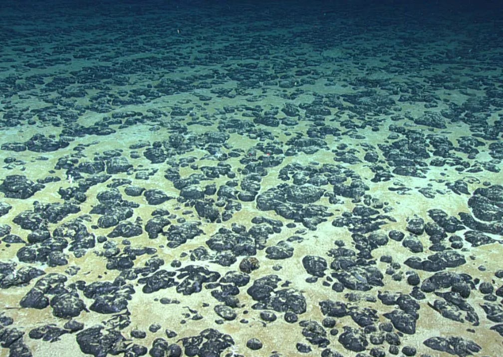 The Murky Underwater of Deep Sea Mining. - DEFine.