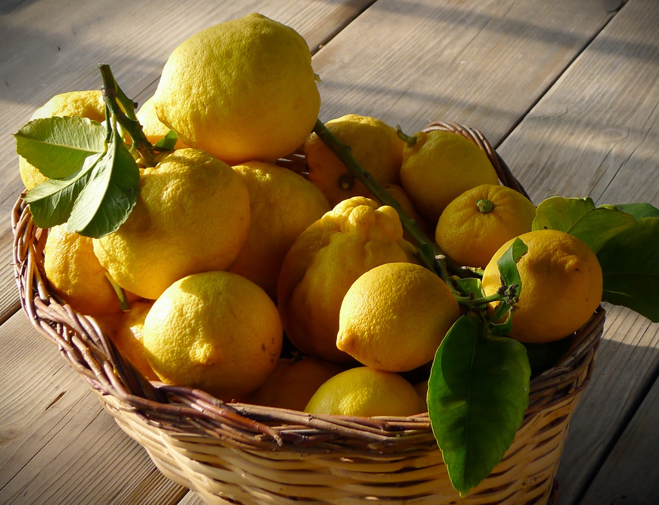 Lemons: the Greek Perversion(!) - by Aglaia KREMEZI