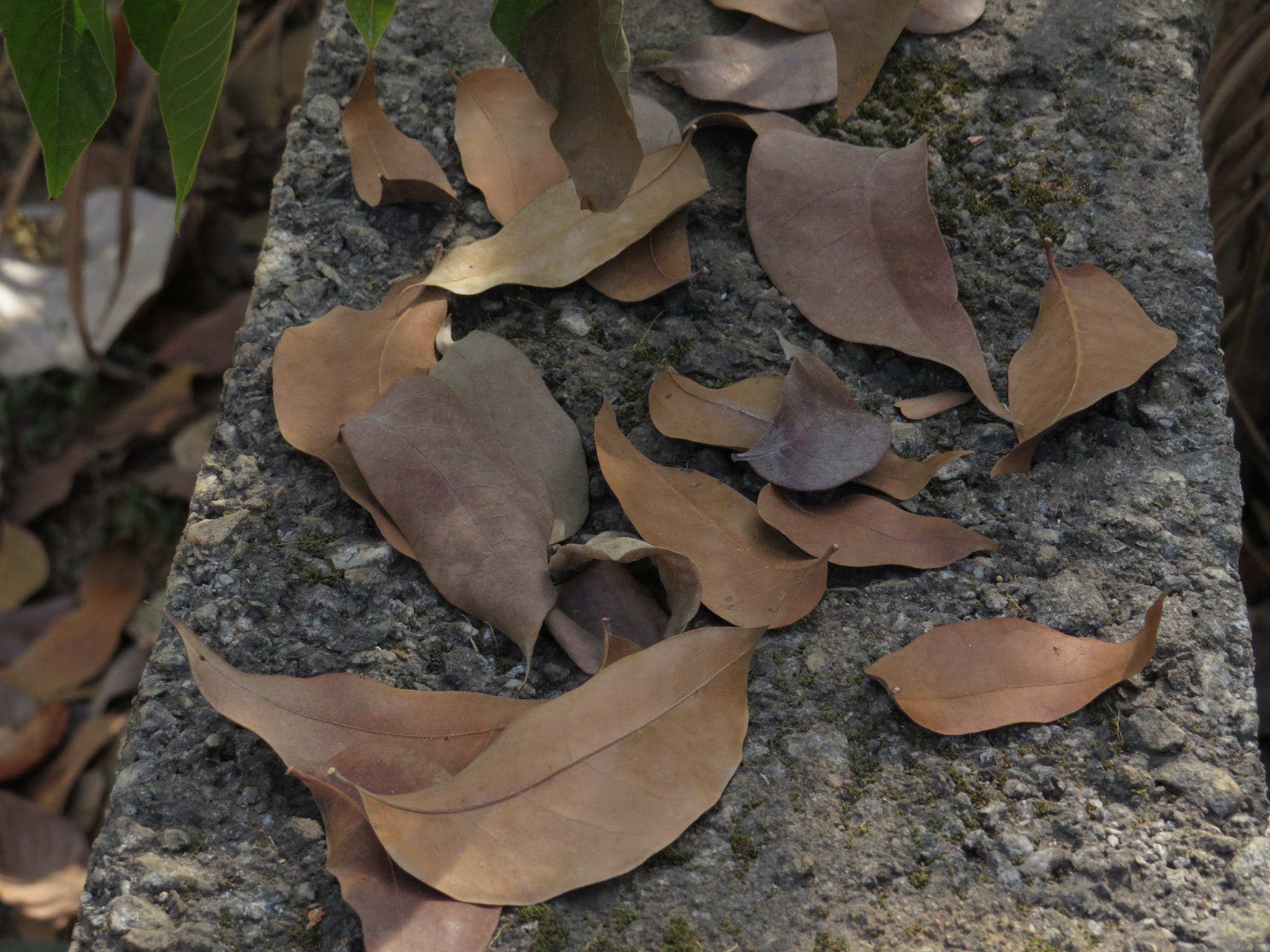 Photo essay: The various, mundane and unexpected resting spots of ...