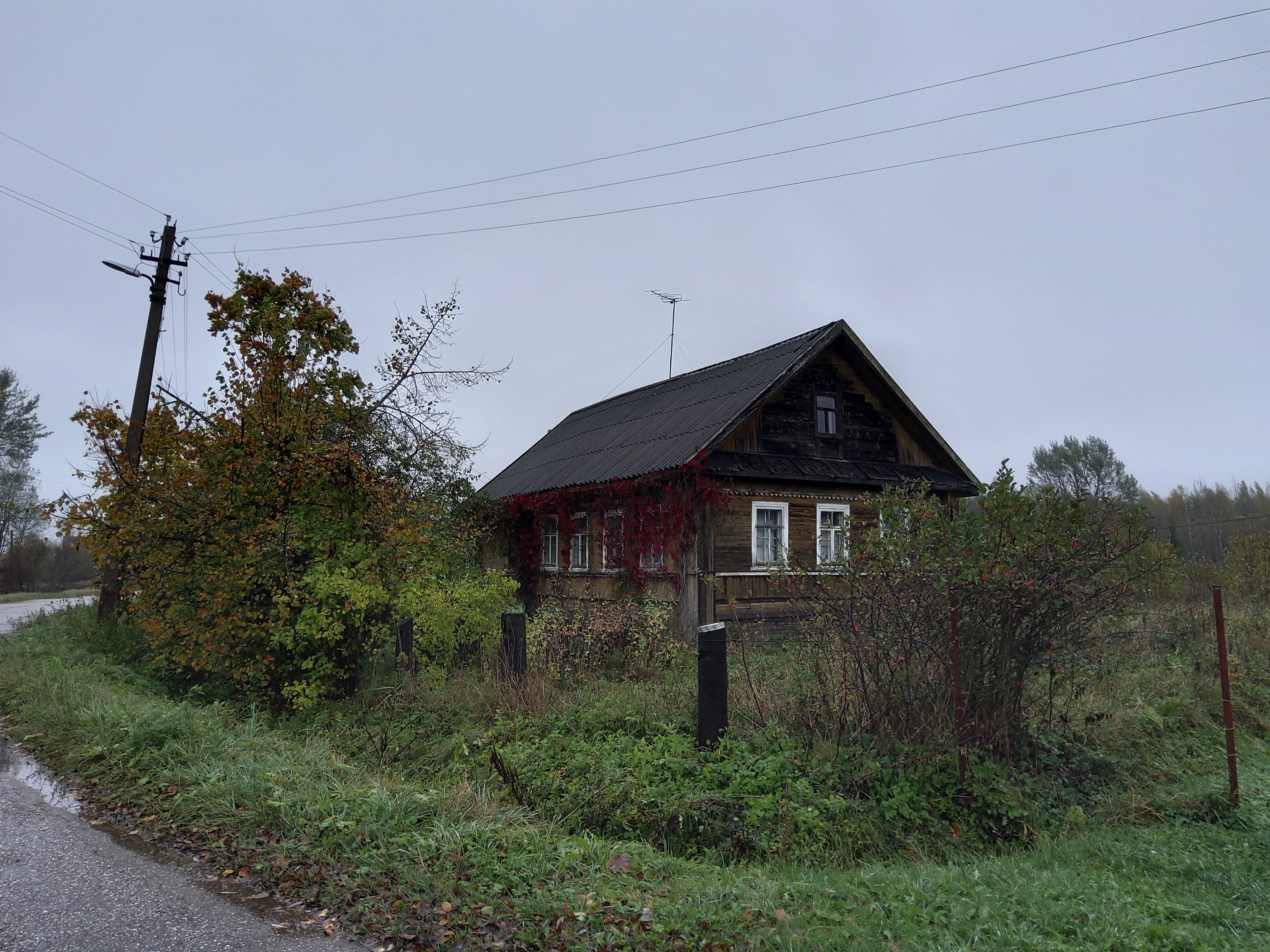 Take a tour of Edward's country manor - Edward Slavsquat