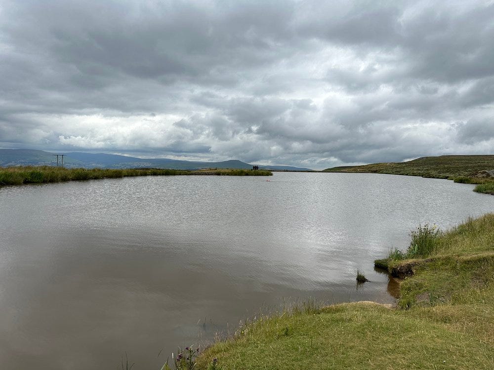 A Reminder - Karin Celestine