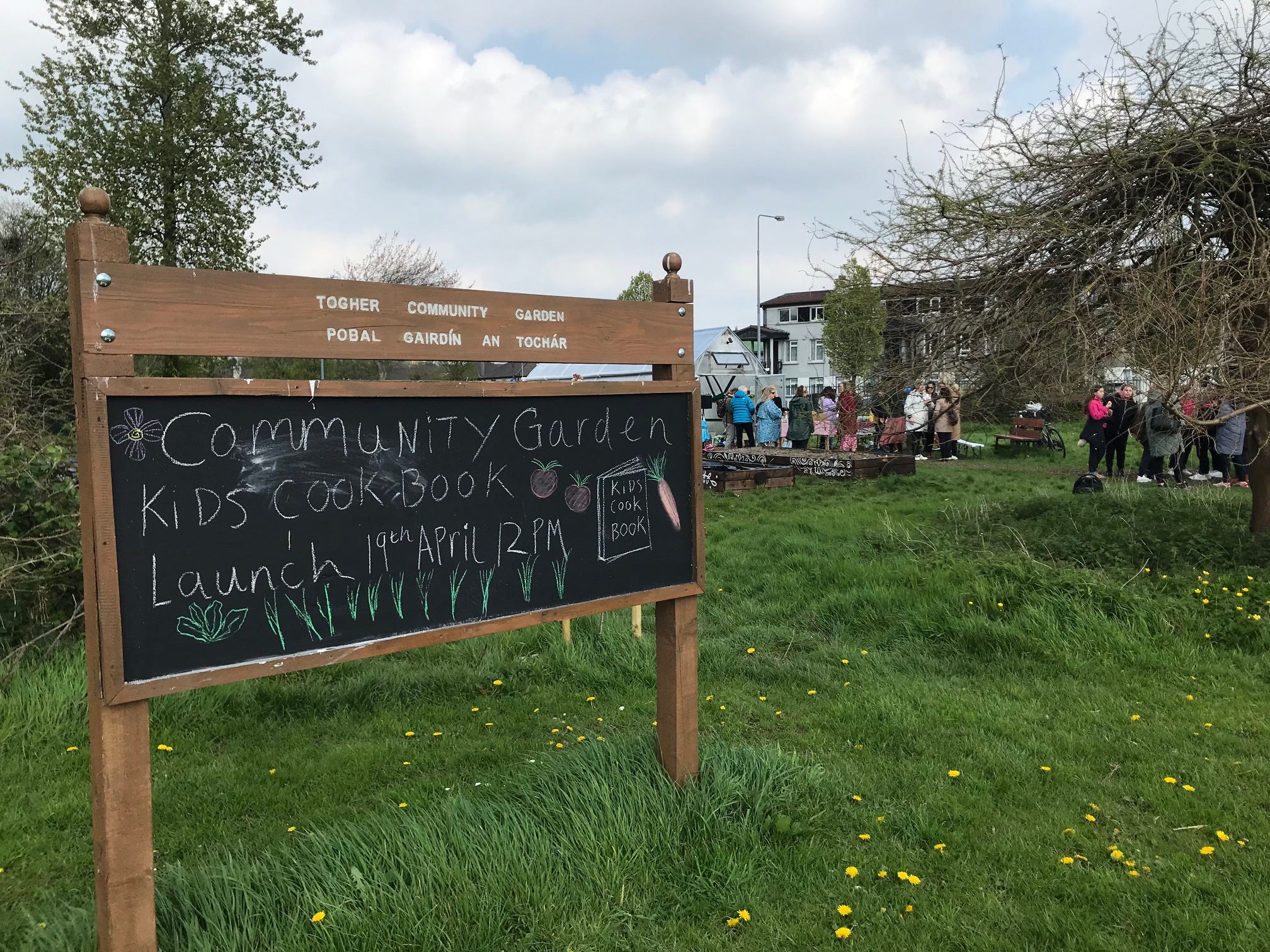 From Togher Community Garden, a cookbook for all ages