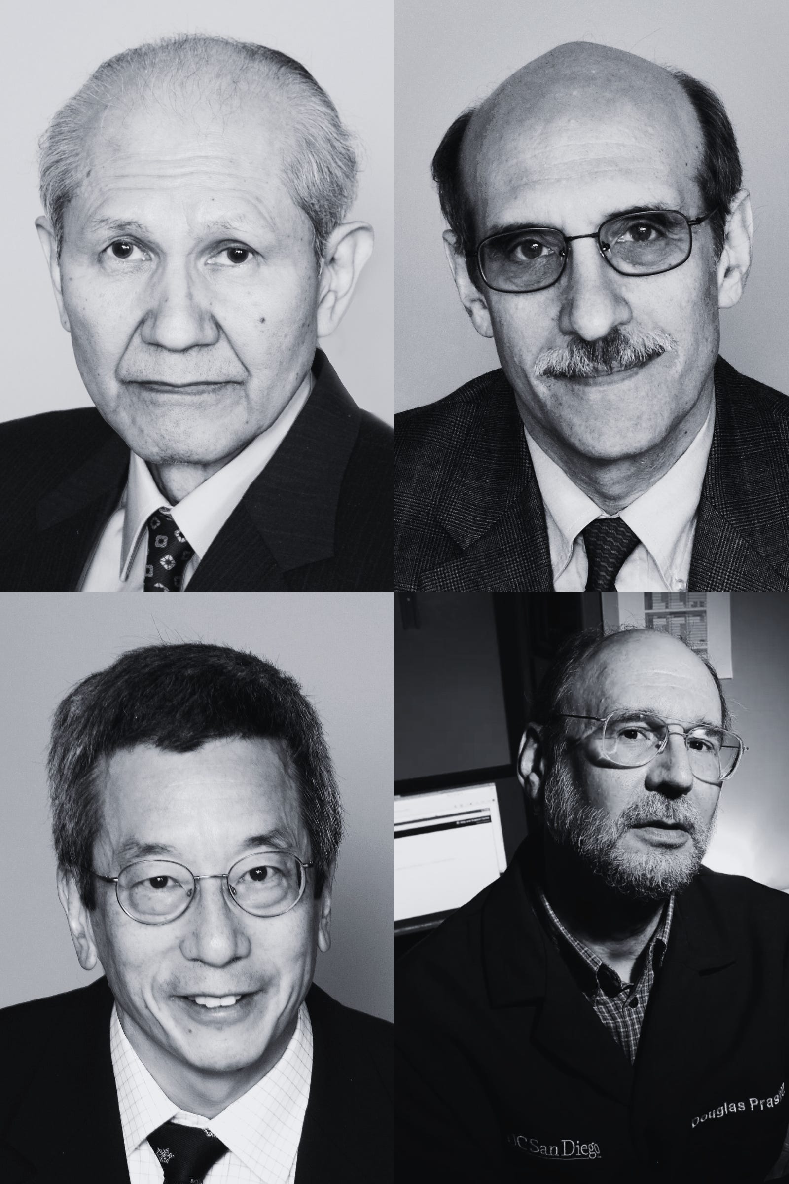 A Brief History of GFP - by Smrithi Sunil - Asimov Press