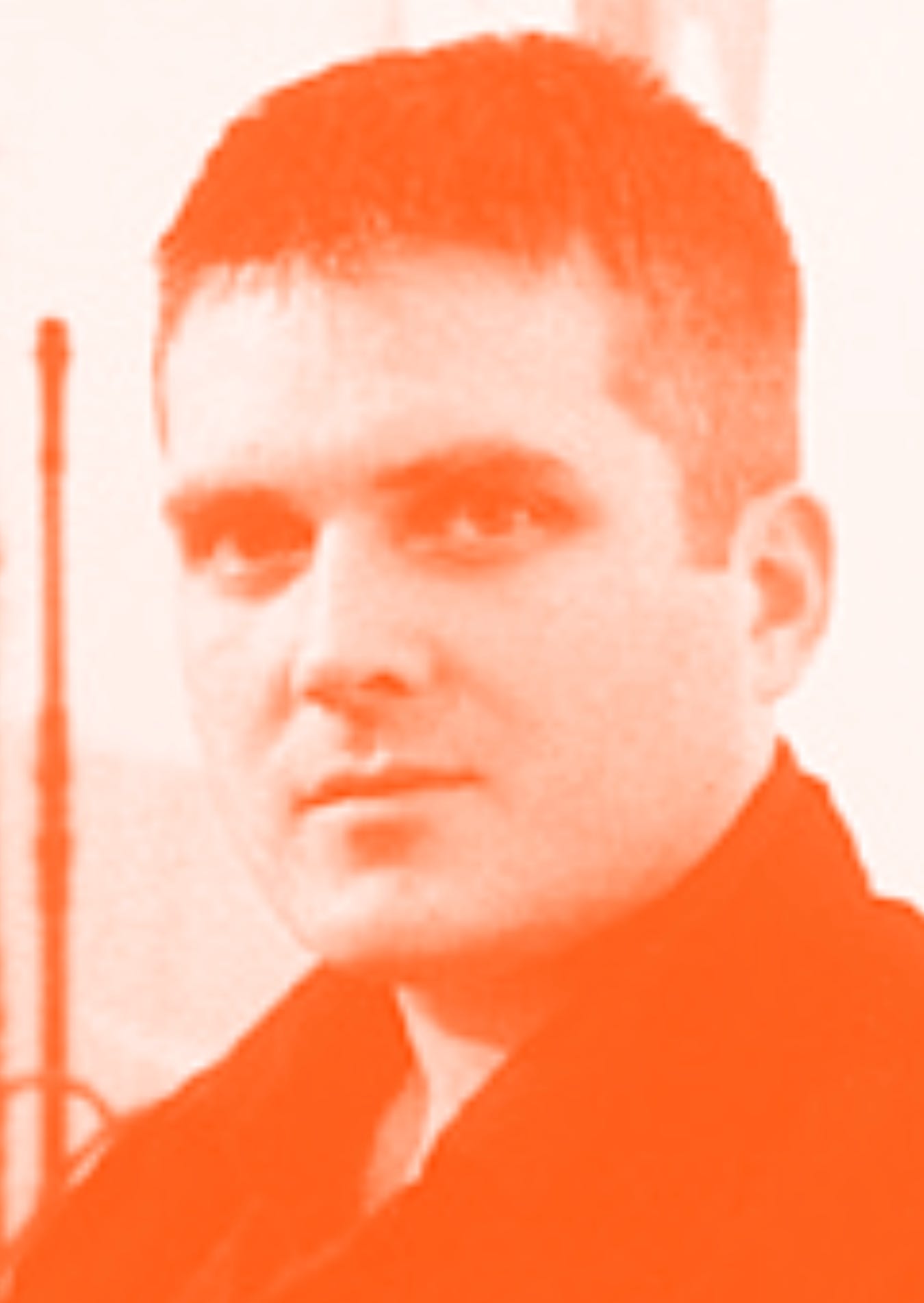 Interview: Dan Rhodes - by Neil Scott - The Crop