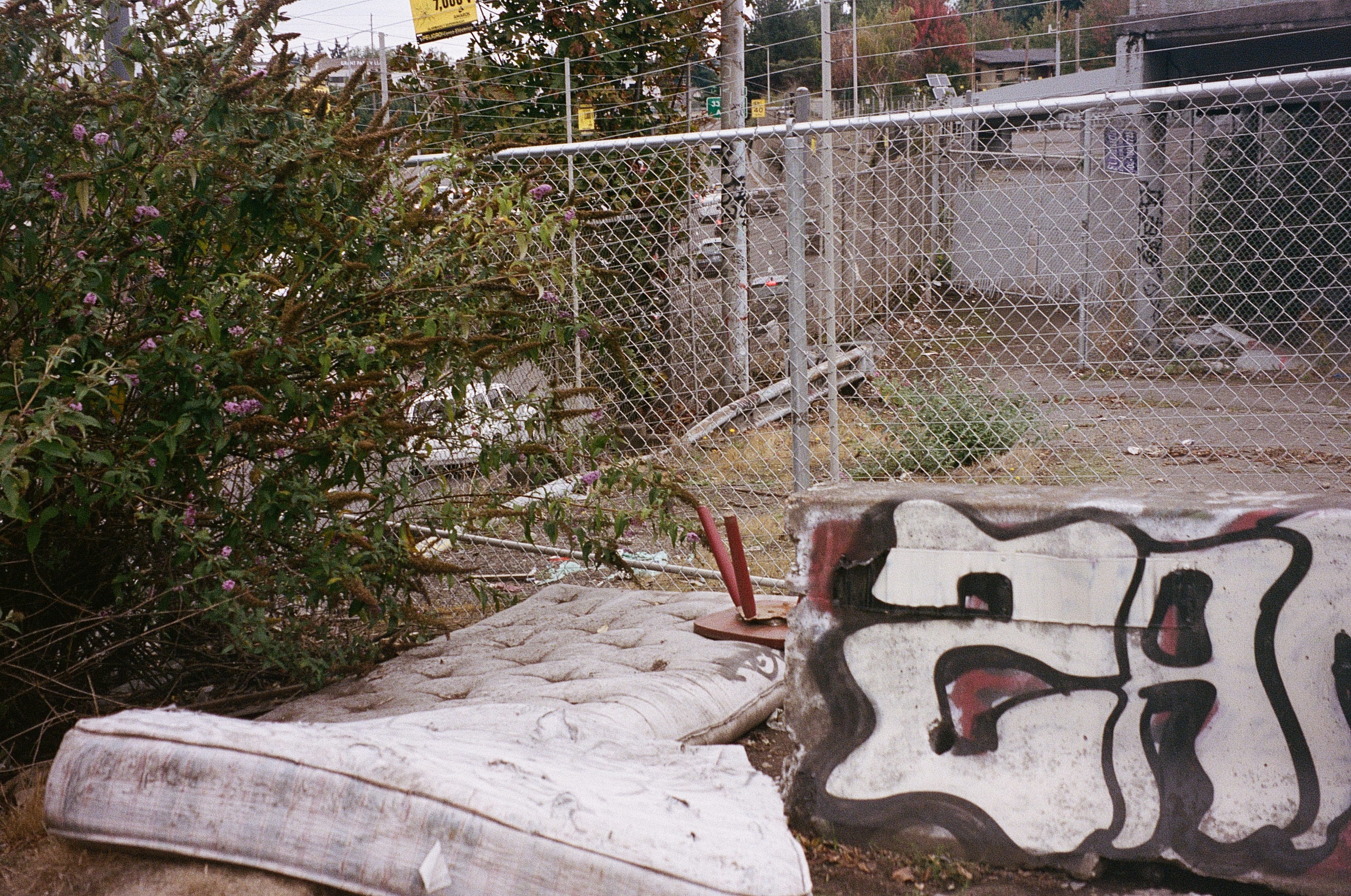 Dirty boy - by Adam Williams - Adam’s Substack