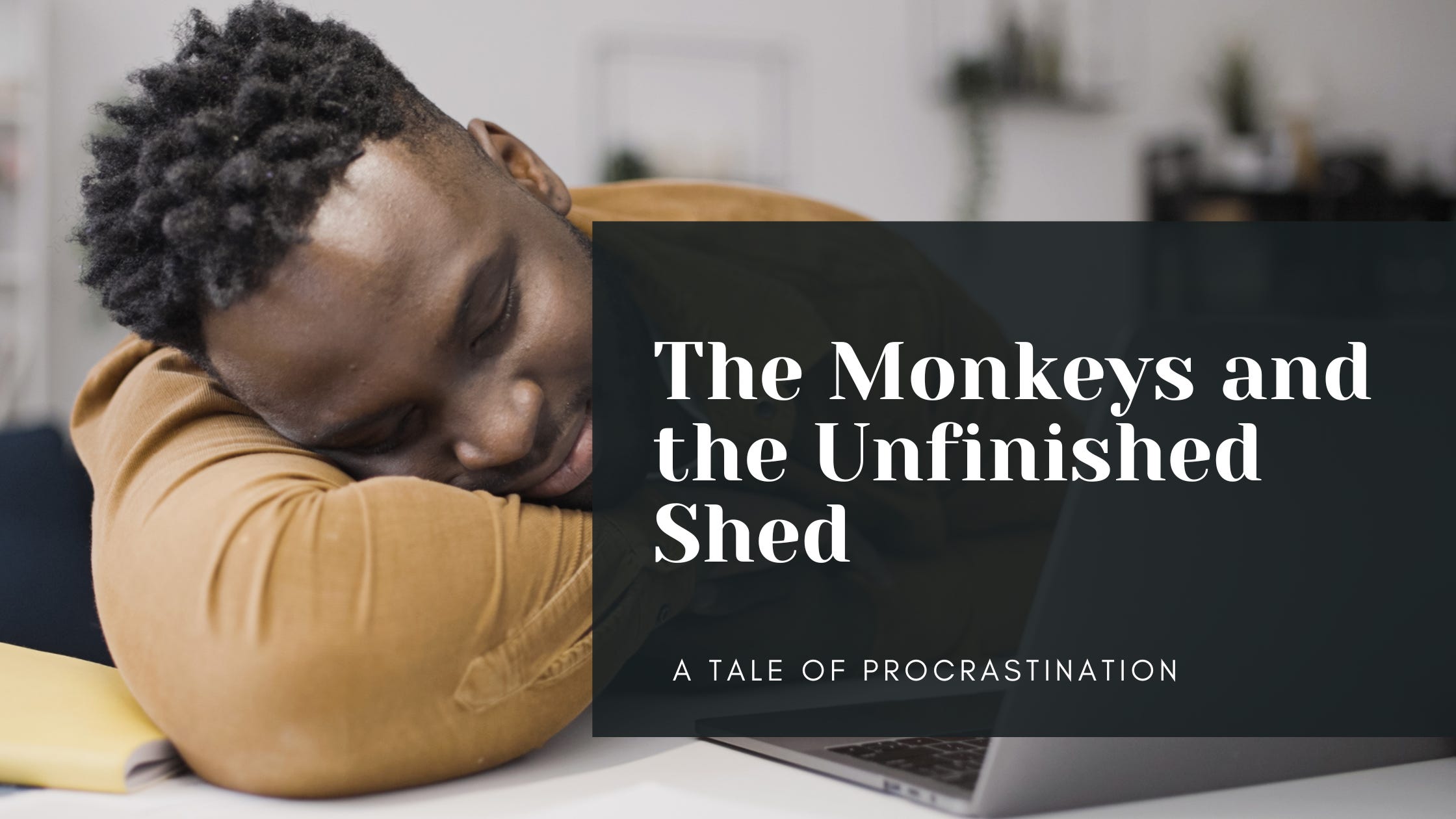The Monkeys and the Unfinished Shed - by Barine K