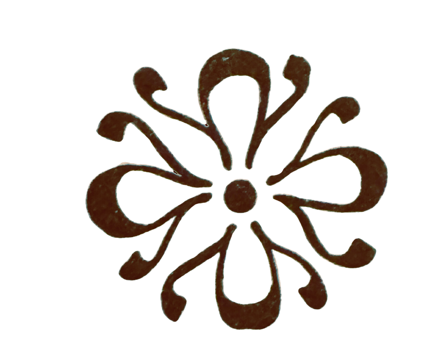 For the new and the curious - by Kolina Cicero