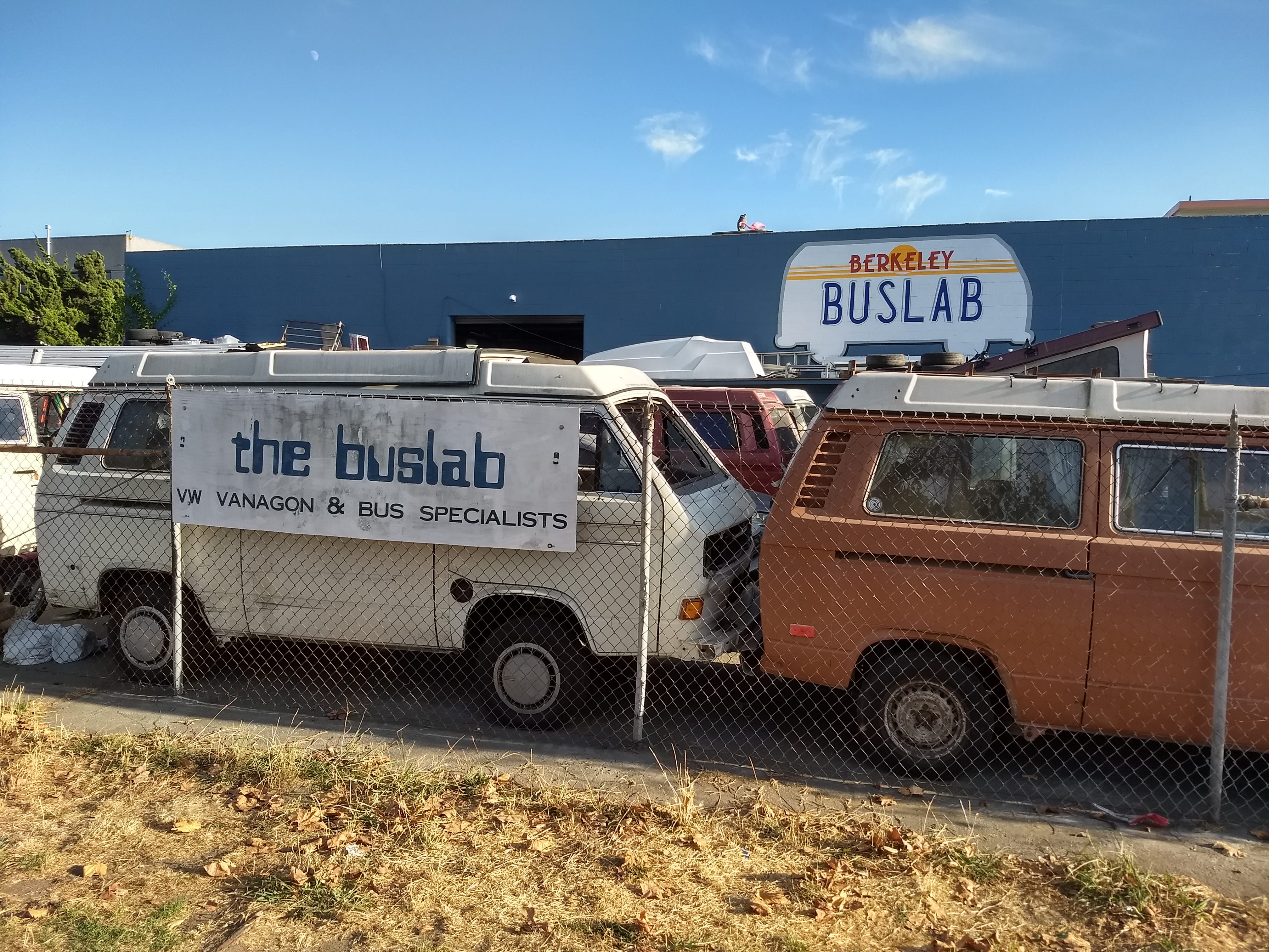 Seen In The Bay - by Scott Alexander - Astral Codex Ten