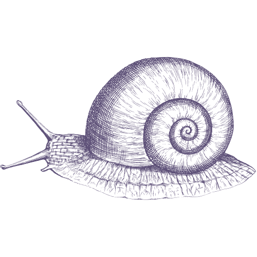 Traces Journal | Substack