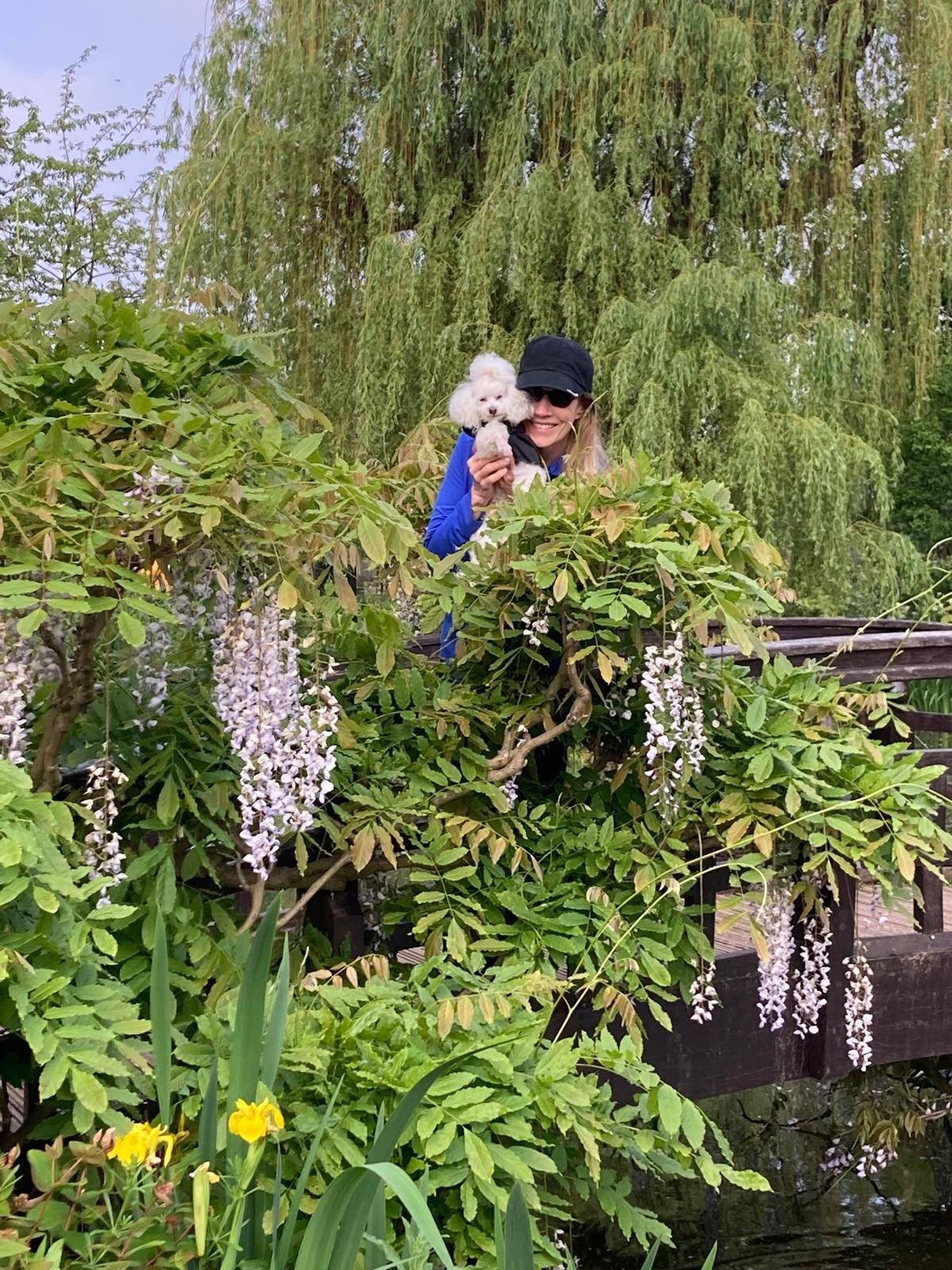 Janet Dulin Jones | Substack