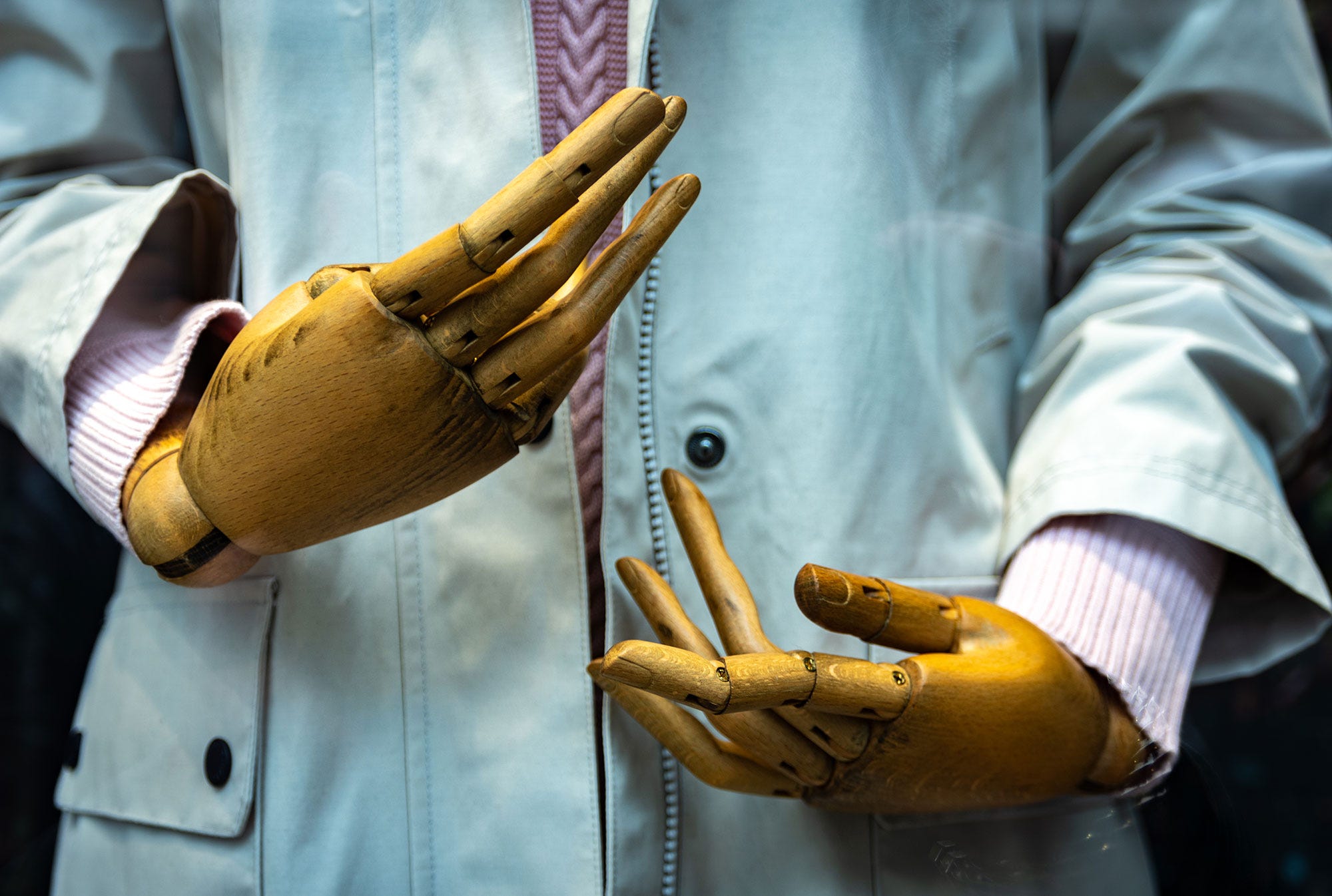 Somebody Else's Expression - by Richard Partridge