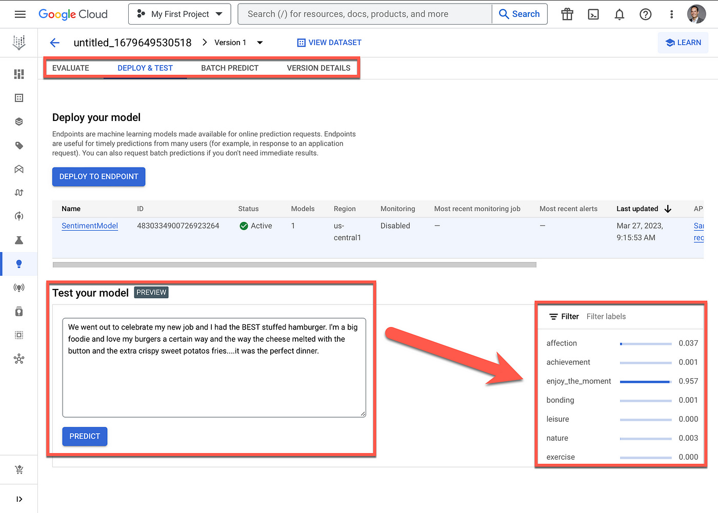 Training & Testing Text Classification Models with Google Cloud Vertex AI