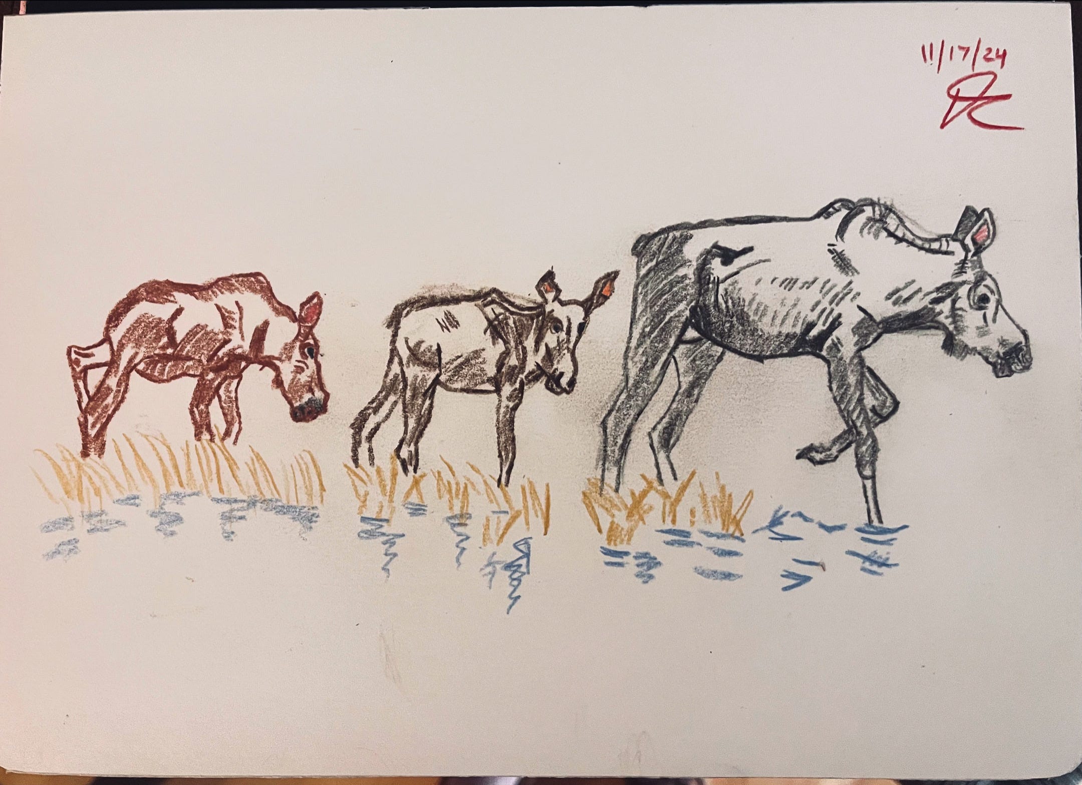 Little Family of Moose - Danica’s Substack