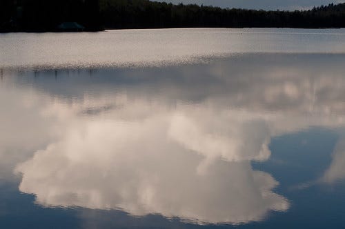 Verplanck - by Alan Wellikoff - Arrant Bushwa