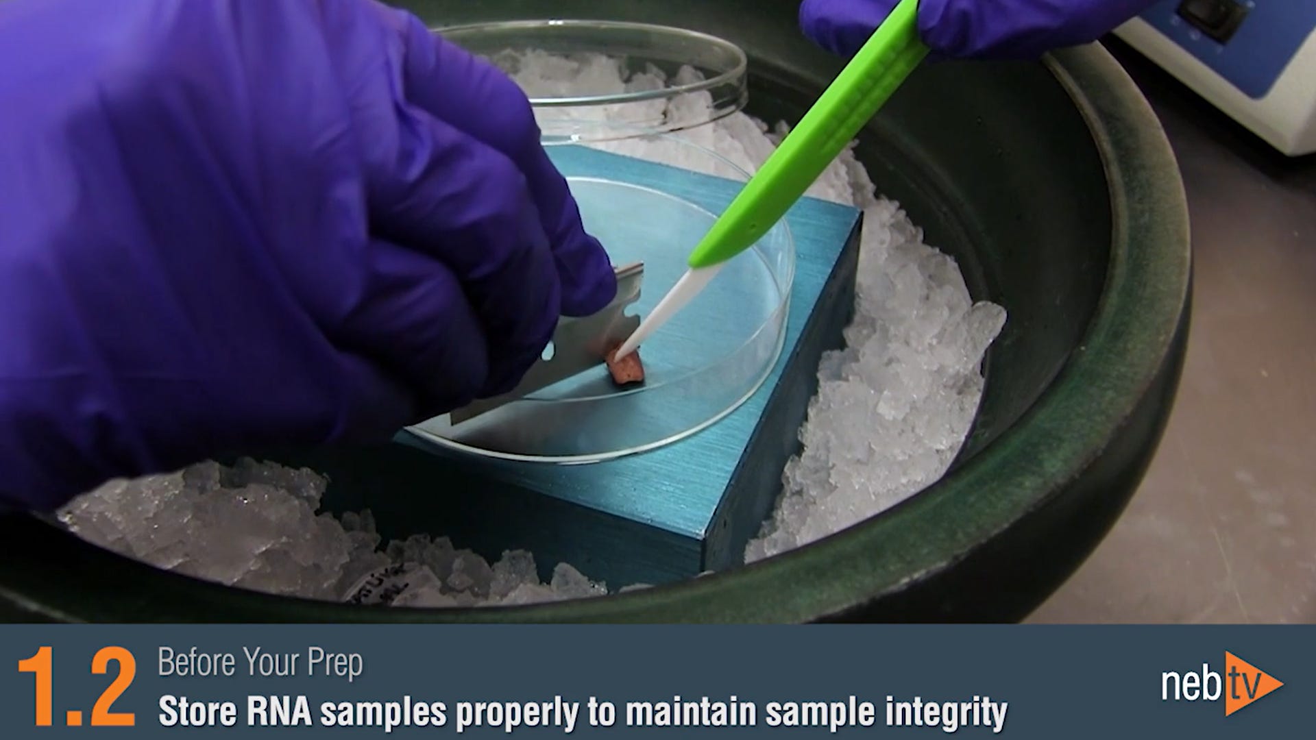 Is mRNA in the Covid Vaccines? Proton’s Last Theorem.