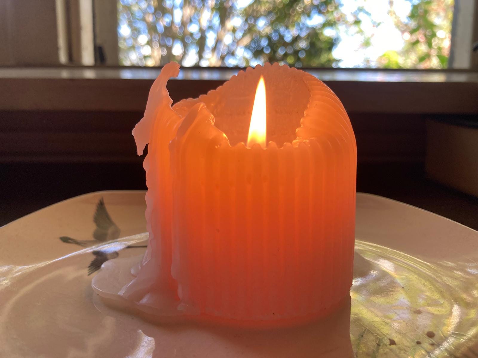 reality & some other things - by Thomas Vowles