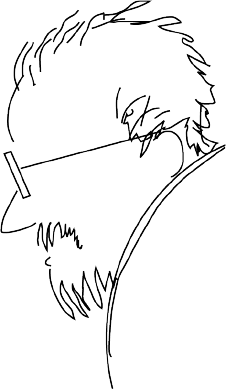 John Medina | Substack