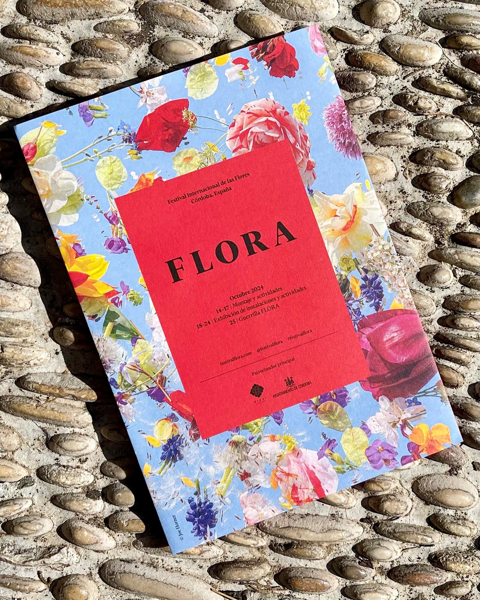 Jaw Dropping Festival Flora in Córdoba, Spain