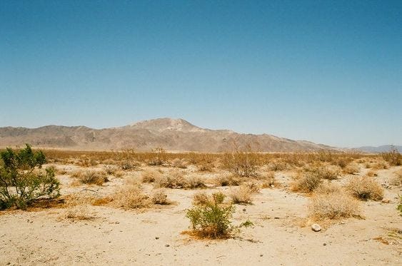 summer literature & film guide - postcards by elle