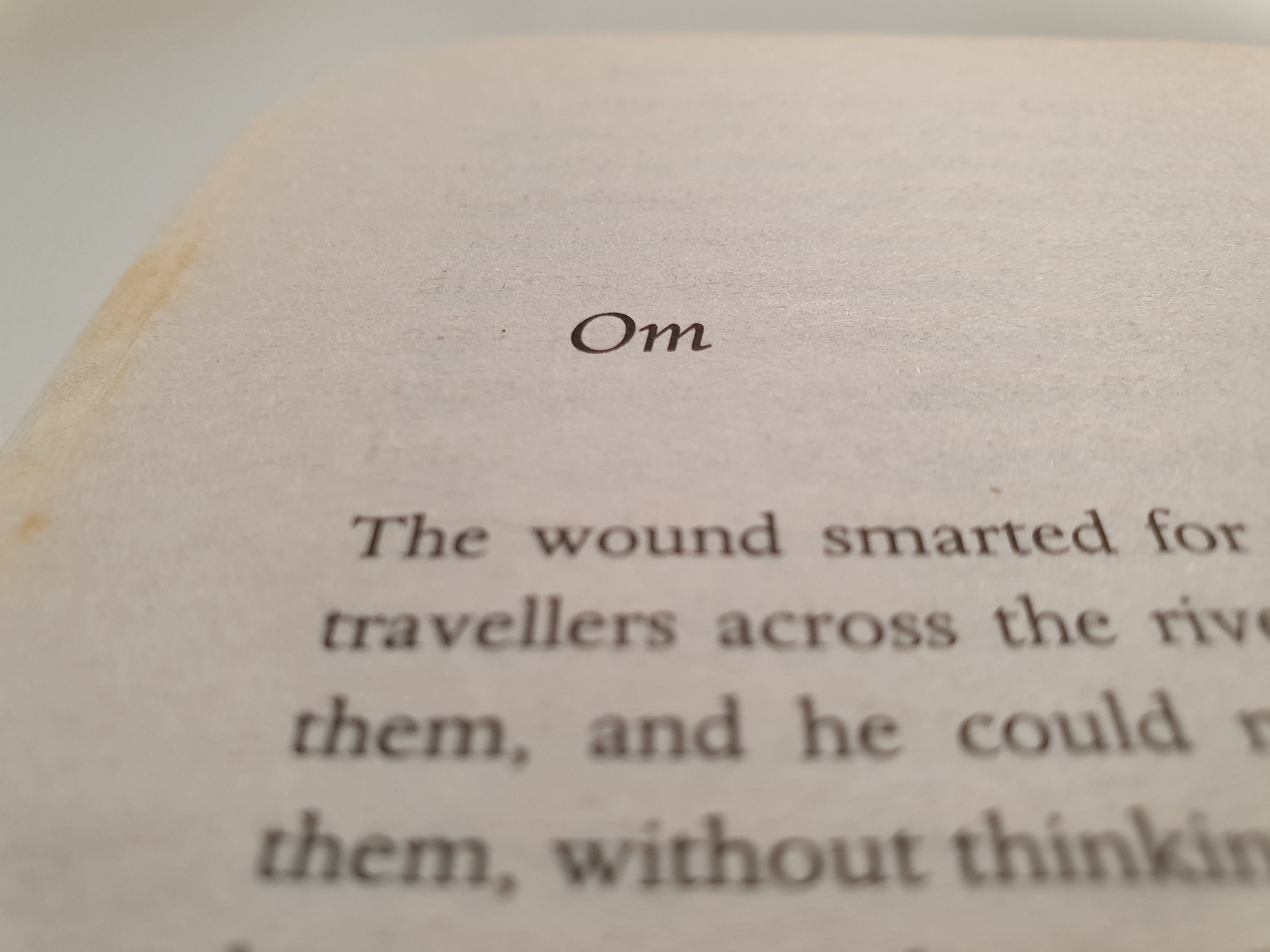 Siddhartha Chapter 11: Om - by Stephan Joppich