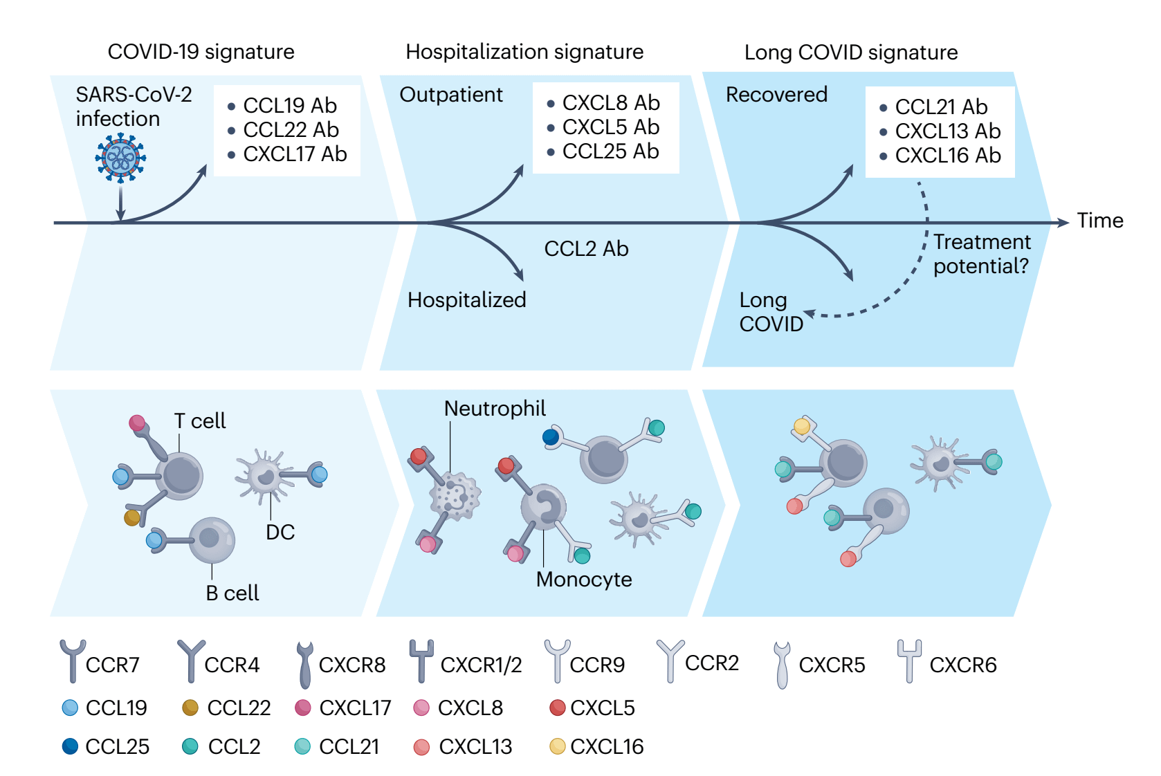 The heightened risk of autoimmune diseases after Covid