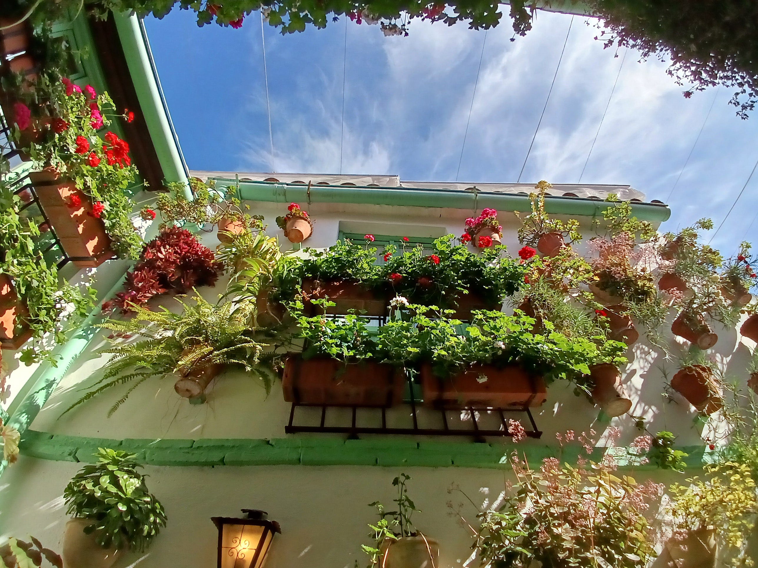 Instructions of Gampopa, Part 5 - by MoonlitCraneZendo