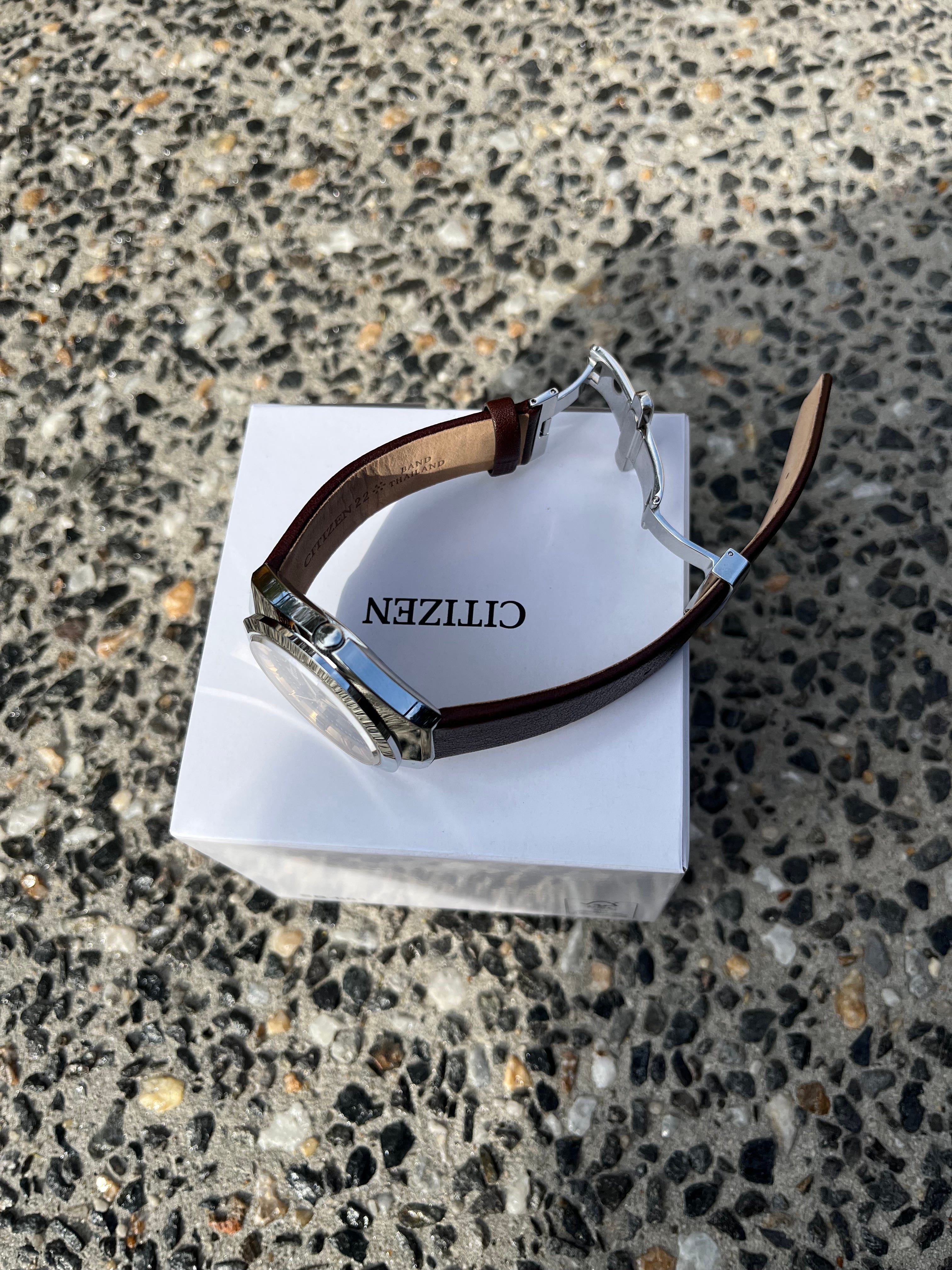 Citizen BN1010-05E - by Alex Boz - The Gnomonist