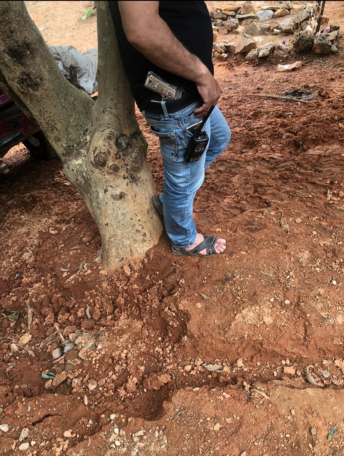 Black Thursday, 2019 - by Noah Hurowitz