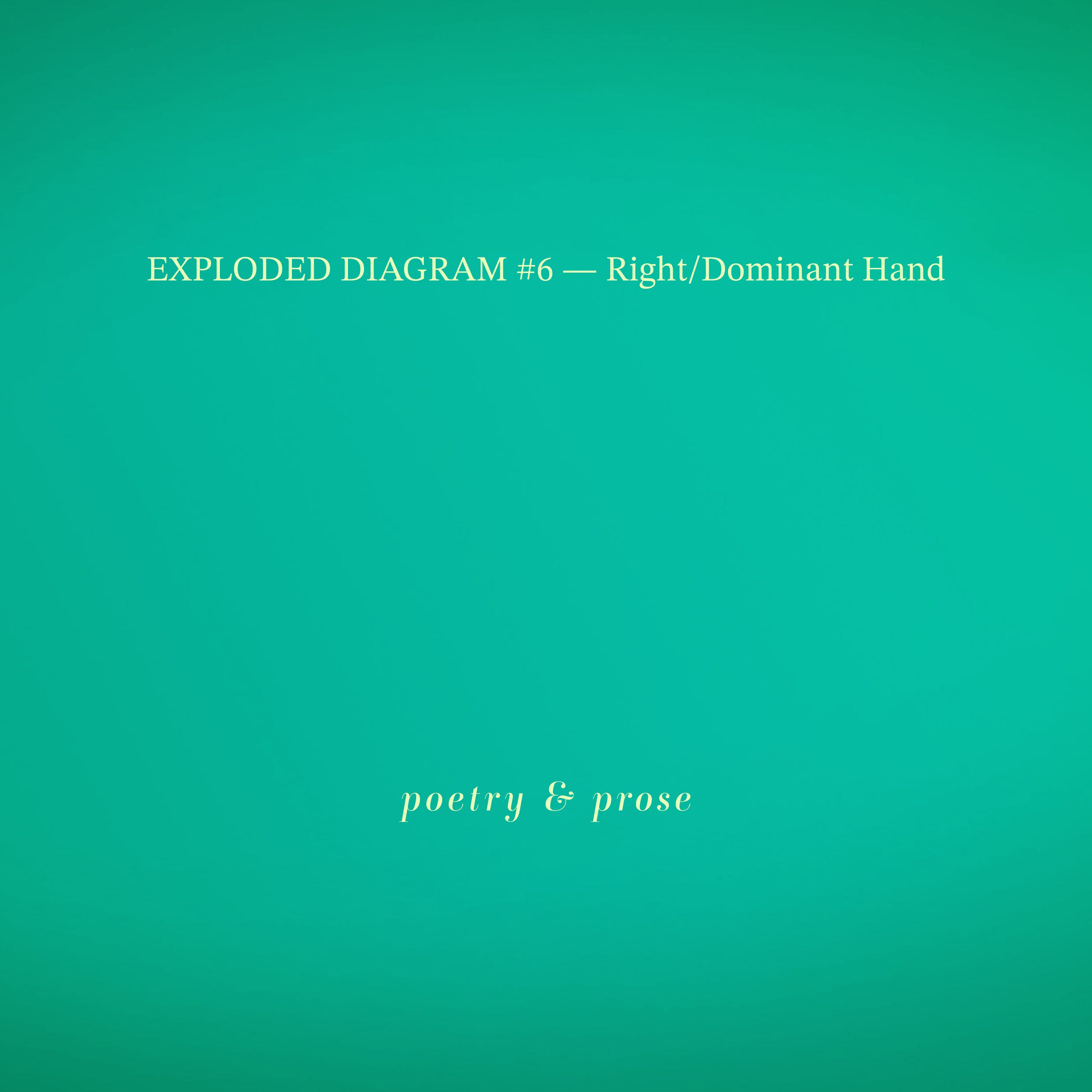 EXPLODED DIAGRAM #6 — Right/Dominant Hand